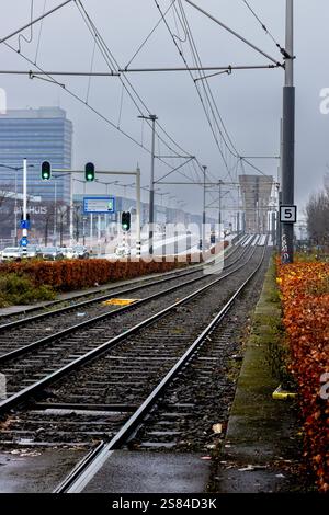 Tram traffic signals and overhead wires Stock Photo - Alamy