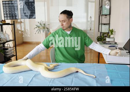 Examining Snake in Veterinary Clinic Setting Stock Photo - Alamy