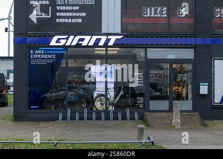 Giant Bicycle store, e bike experience center shop Stock Photo - Alamy