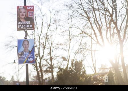 Party election posters of Alice Weidel AFD for the federal election on ...