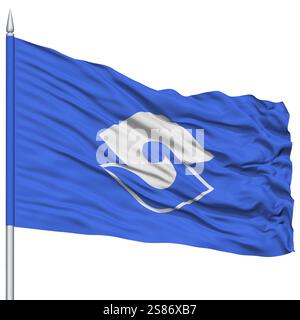 Shizuoka Capital City Flag on Flagpole, Flying in the Wind, Isolated on ...