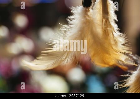 Beautiful bird feathers for decorative purposes Stock Photo - Alamy