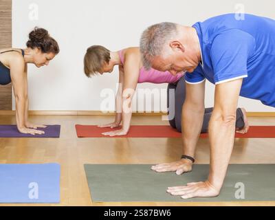 An image of some people doing yoga exercises Stock Photo - Alamy