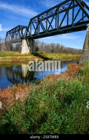 A river bank with grass surrounded by trees on a sunny day Stock Photo ...