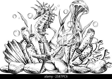 Seahorses, jellyfish, seashell, coral, starfish, sea sponge, algae ...