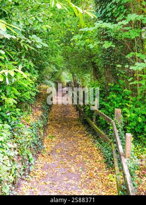 Footpath along west bank of River Vincin close to Route de Moreac ...