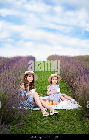 girl on a picnic in the lavender field of Provence with a glass of pink ...