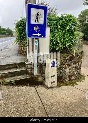 the yellow arrow and scallop shell signs mark the way to Santiago de ...