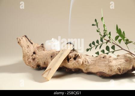 Smoldering palo santo stick and snag on beige background, closeup Stock ...