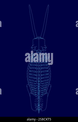 Blue drawing of a skeleton insect. The skeleton insect is shown from ...