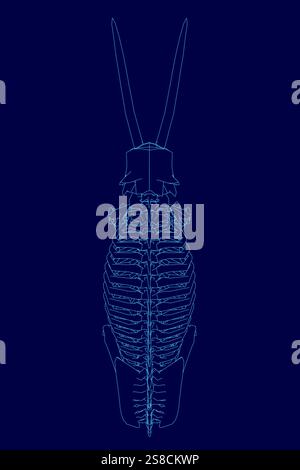 Blue drawing of a skeleton insect. The skeleton insect is shown from ...