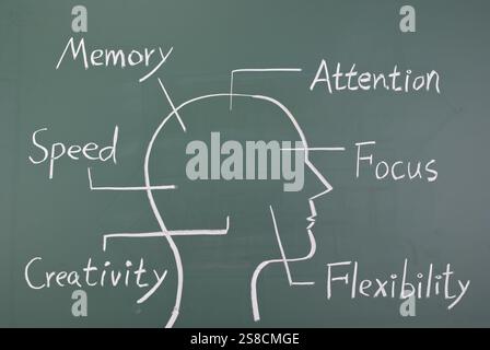 Human brain graph with colorful chart on blackboard Stock Photo - Alamy