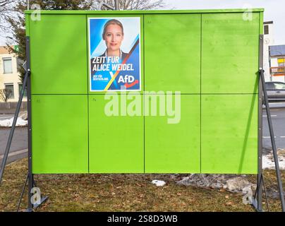 Feature / Symbol: Wahlplakate zur Bundestagswahl 02/25 thg Wahlwerbung ...