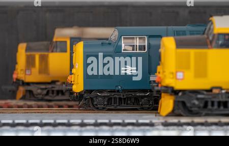Two model Class 55 Deltic models on a model railway Stock Photo - Alamy