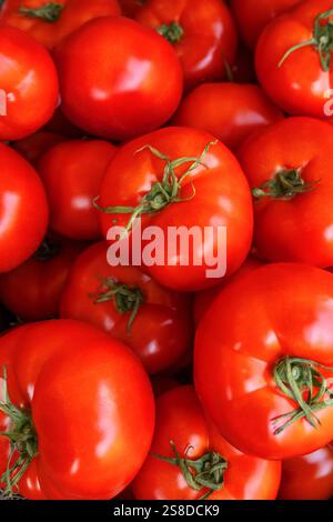 cherry tomatoes lie in a box on the farm. cherry tomato in a box Stock ...
