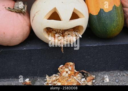 group of pumpkins with seeds spilling from mouth Stock Photo - Alamy