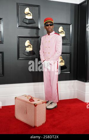 Tyler the Creator at the 62nd Annual Grammy Awards, Arrivals, Los ...