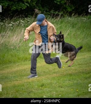 ‘Brandy’ Ricky Gervais’ K9 co-star from After Life Credit: Mark ...