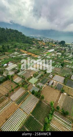 Vegetable plantations in the Bedugul area of Bali, Indonesia. Near ...