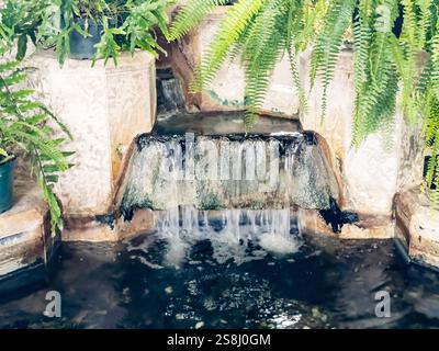 A small river surrounded by rocks and plants Stock Photo - Alamy