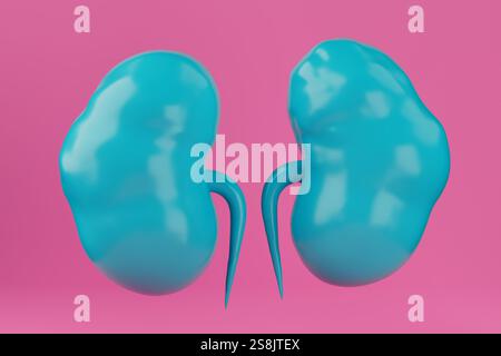 Pink Abstract Human Kidneys Anatomy Structure on a blue background. 3d ...
