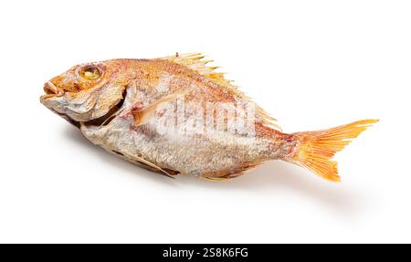 Traditional Japanese Grilled Tai Fish Isolated on White Background ...