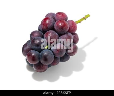 Fresh Japanese Pione Grapes Isolated on White Background.View from ...