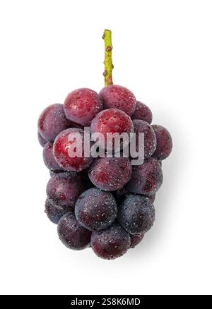 Fresh Japanese Pione Grapes Isolated on White Background.View from ...