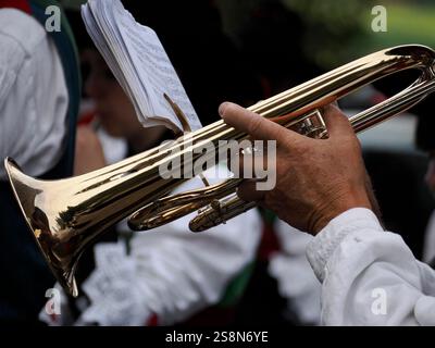 Traditional Tyrol band instrument detail close up Stock Photo - Alamy