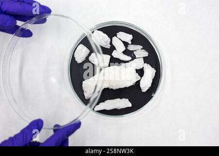 DEN HAAG - Crystal Meth at the Netherlands Forensic Institute (NFI ...