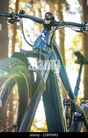 Black bike in between of forest Stock Photo - Alamy
