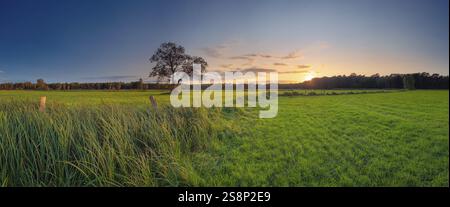 Autumn landscape: meadows overgrown with grass. In the distance you see ...