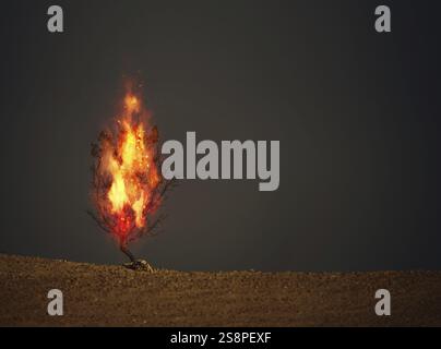 An image of a burning thorn bush christian symbol Stock Photo - Alamy