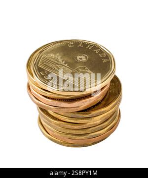 Canadian one dollar golden loonie coins background Stock Photo - Alamy
