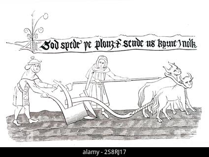 Illustration depicting ploughing in Anglo-Saxon times, with the use of ...