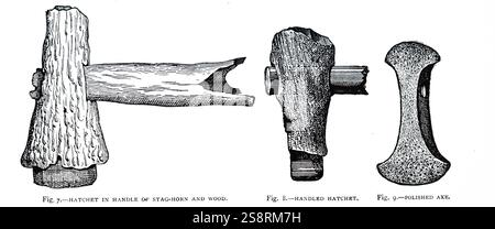 Engraving depicting Neolithic Implements including a stone tranchet, stone pick, stone and horn ...