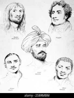 Engraving depicting profiles of different racial types. Dated 19th ...