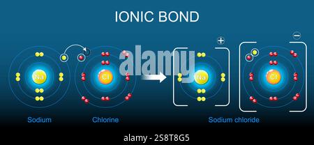 Sodium Chloride ionic bond formation. NaCl structure. Sodium and Chlorine atom chemical reaction ...