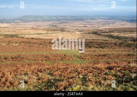 View of Gower common and Broad Pool from Cefn Bryn, Gower, Wales, UK ...