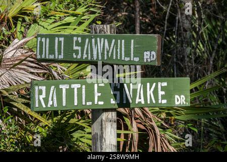 Painted road signs, Longleaf Pine Preserve, Deland, Florida Stock Photo ...