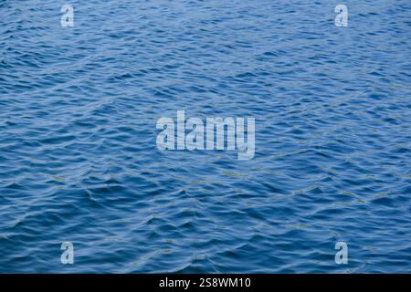 River Zezere Fishing Central Portugal Stock Photo - Alamy