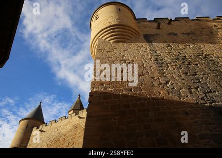 The exterior walls of the Royal Palace of Olite in Navarre, Spain Stock ...