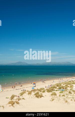 Shell Island near Harlech, Wales, UK, Europe Stock Photo - Alamy