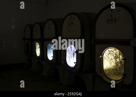 A picture of some abandoned barrels in a scary place Stock Photo - Alamy