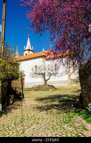 parish church, Joao Pires village, Beira Alta, Portugal, europe Stock ...