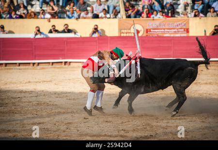 Forcado approaches the bull and jumps onto the horns to ride it ...