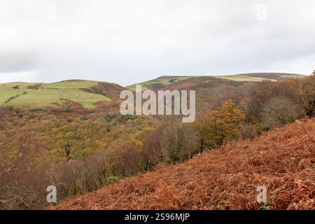 Landscape photo of Countisbury Hill and Watersmeet Valley in Exmmor ...
