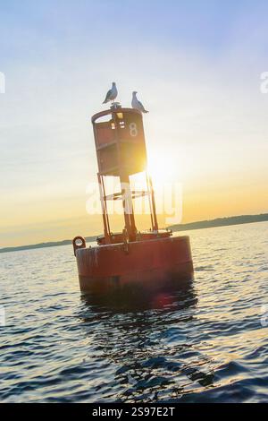 Red maritime navigation buoy floating in turquoise ocean waters near a ...