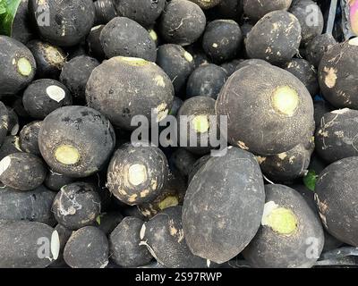 Black radish (Turkish: Siyah Turp) on a supermarket counter Stock Photo ...