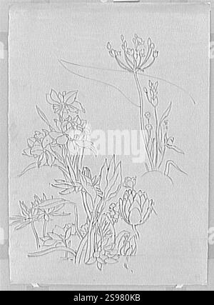 'Etude de plantes aquatiques pour Les Filles de Thespius' (Study of ...